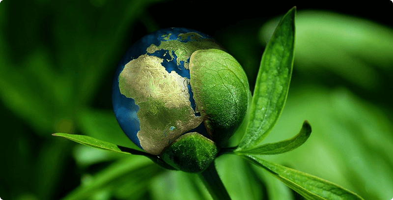 Sustainability | Axjo’s Commitment to Sustainable Innovation